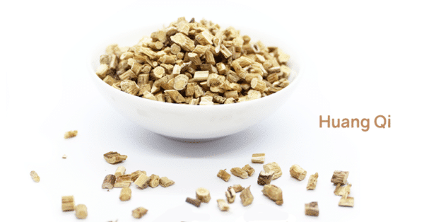 🌱 Découvrez l'Huang Qi | Astragale