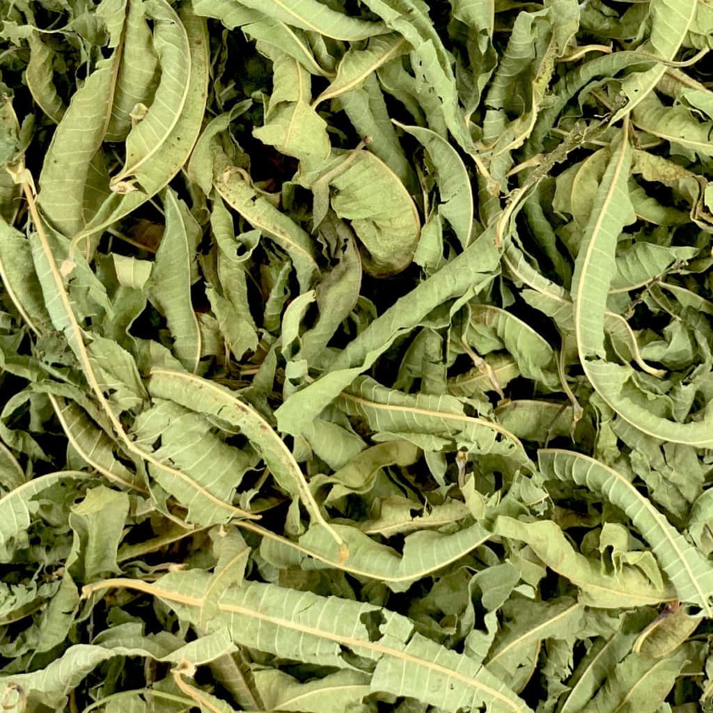 🌱 Verveine Odorante BIO | Feuilles entières séchées